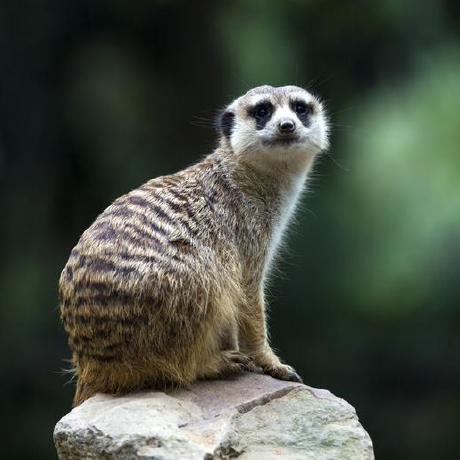 Issue 2 Py Bin Dianping Textmining Github - Best Nature Photos in 4K