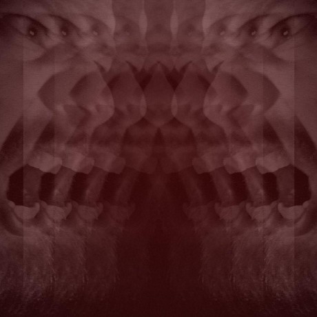 Github Barbajs Barba Create Badass Fluid And Smooth Transitions