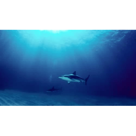 Overtype Visual Studio Marketplace - Best Minimal Designs in HD