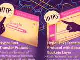 Protocol Https Vs Protocol Http What To Choose For Your Website