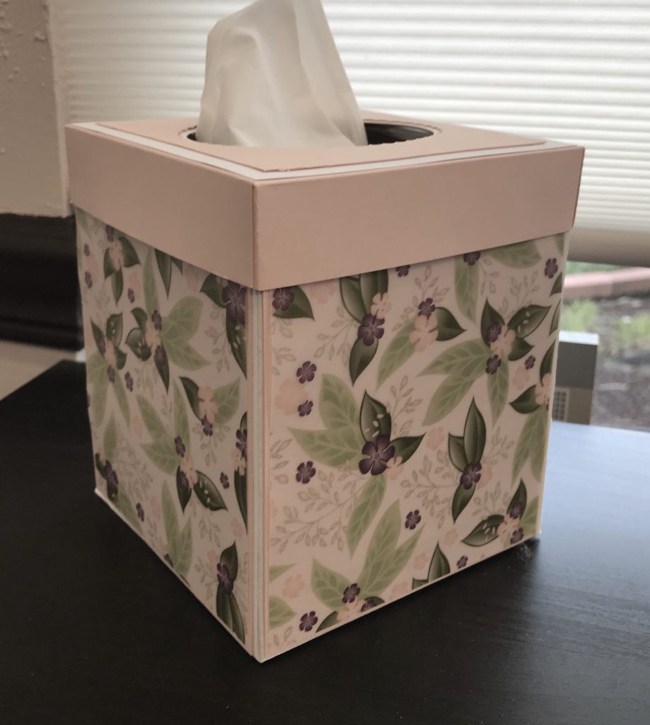 Tissue Box for Every Room - Avery's Owlery