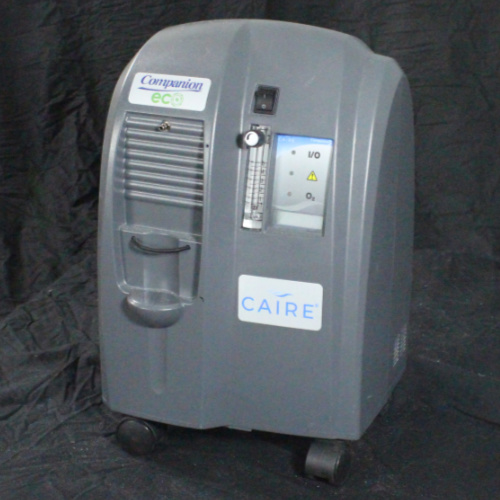 Puppy Cat Mammal - Avey Incubator