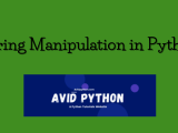 String Manipulation In Python Avid Python