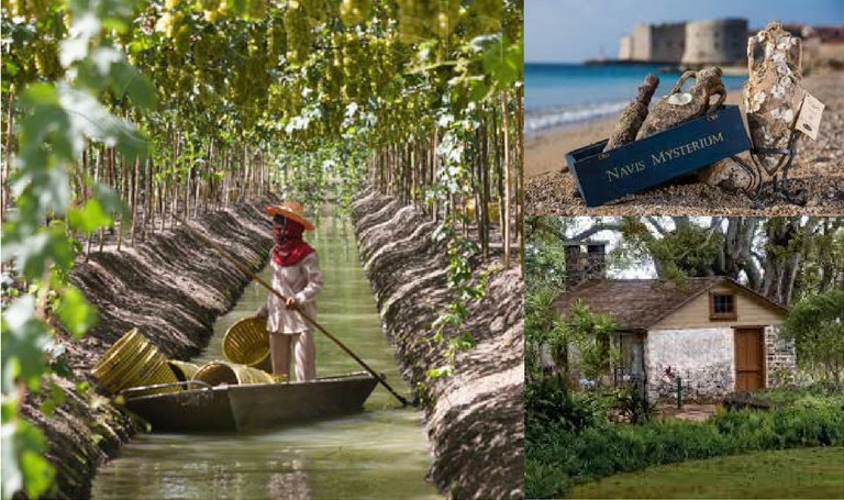 5 Unusual Winery Locations Around the World