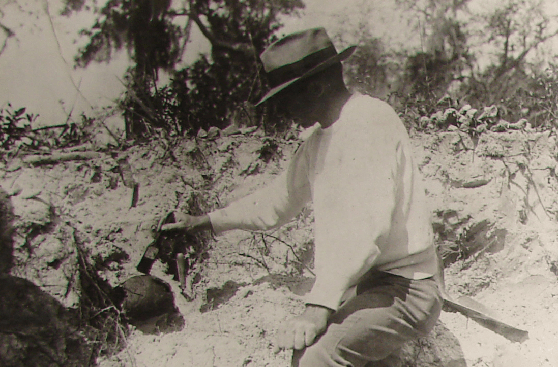 Remembering Tocobaga - AWIARE