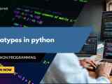 Datatypes In Python Abdul Wahab Junaid