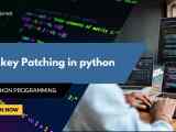 Monkey Patching In Python Abdul Wahab Junaid