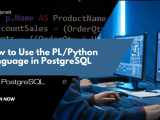 How To Use The Pl Python Language In Postgresql Abdul Wahab Junaid