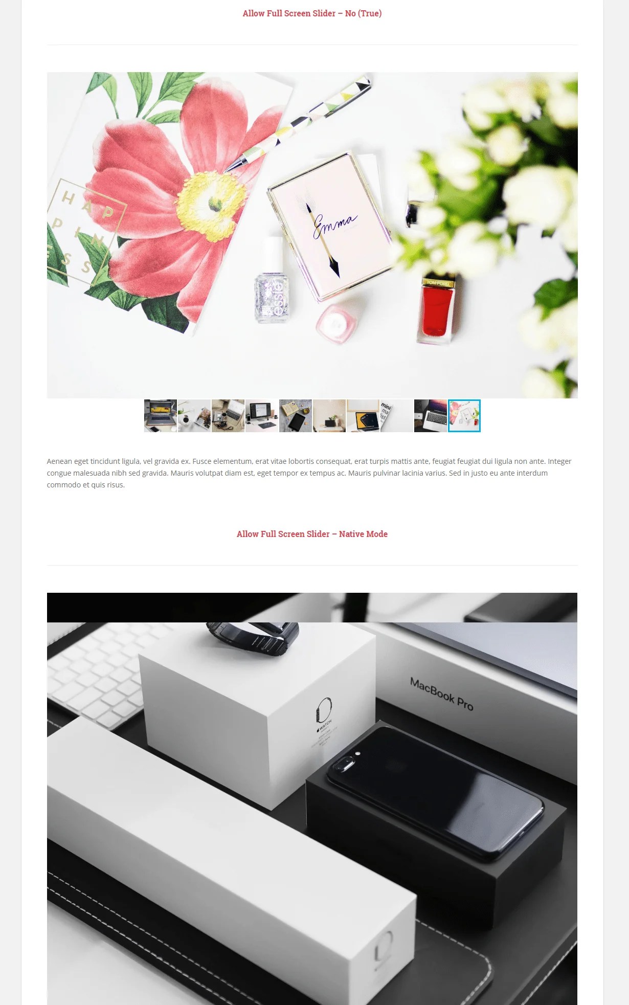 Responsive Slider Gallery WordPress Plugin - A WP Life Plugins & Thmes