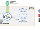 Fortigate Cloud Native Firewall For Aws