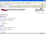 Apache Axis2 Axis2 Installation Guide