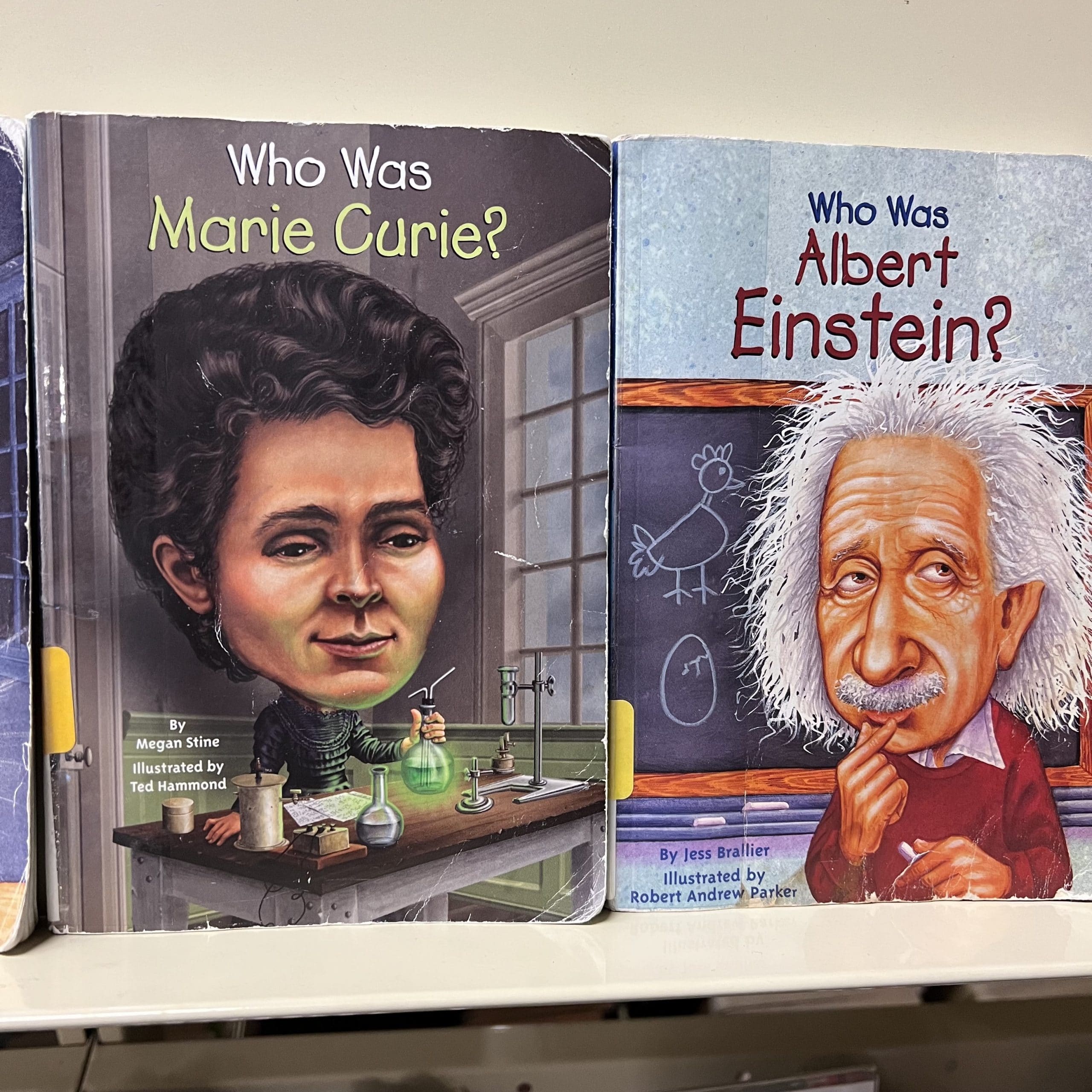 Nonfiction In Guided Reading Literacy With Aylin Claahsen nonfiction-in-guided-reading-literacy-with-aylin-claahsen