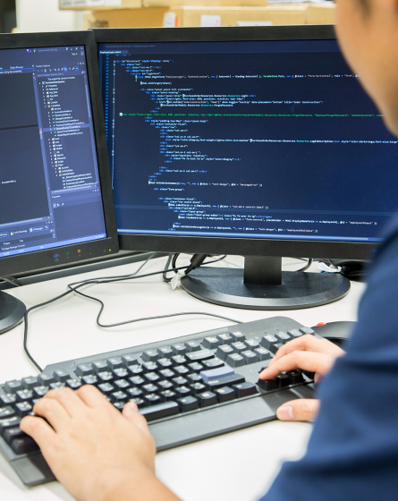 Denver Custom Software Development | Ayoka Systems USA