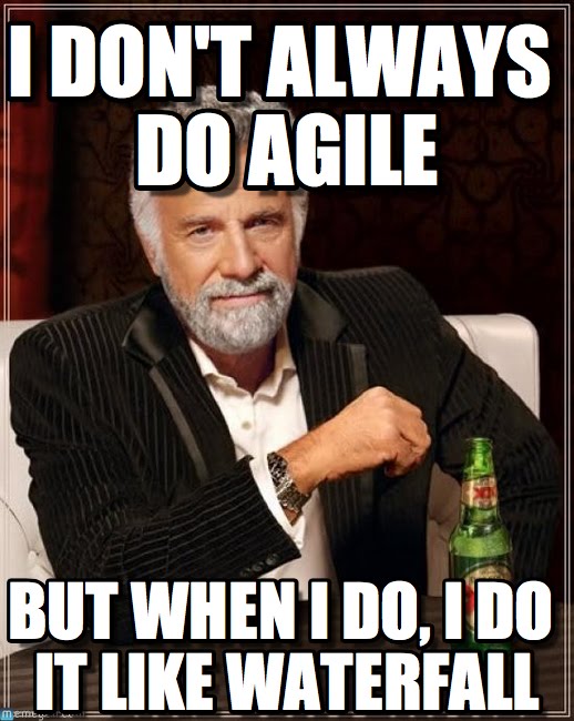 Agile vs. Waterfall Strategy | Ayoka Systems USA