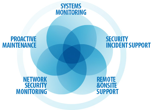 How Ayoka Optimizes Enterprise IT Infrastructures | Ayoka Systems
