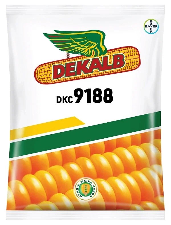 Dekalb 9188 Hybrid Maize