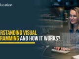 What Is Visual Programming Meaning Examples Guide