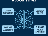 Top 10 Machine Learning Algorithms You Must Know In 2025