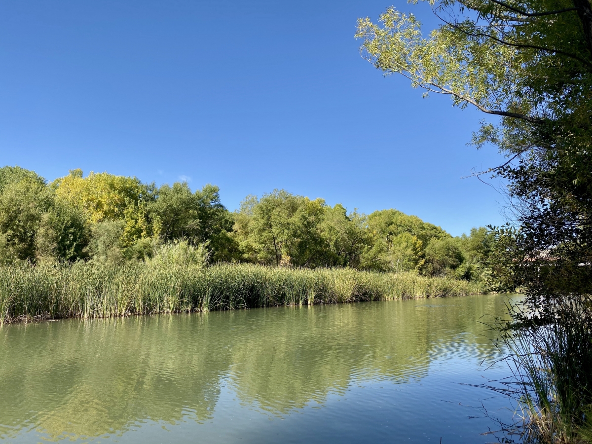 7+ Amazing Attractions in Verde Valley AZ | Backroad Planet