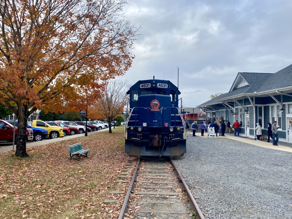 Hop a Scenic Mountain Train in Blue Ridge, Georgia