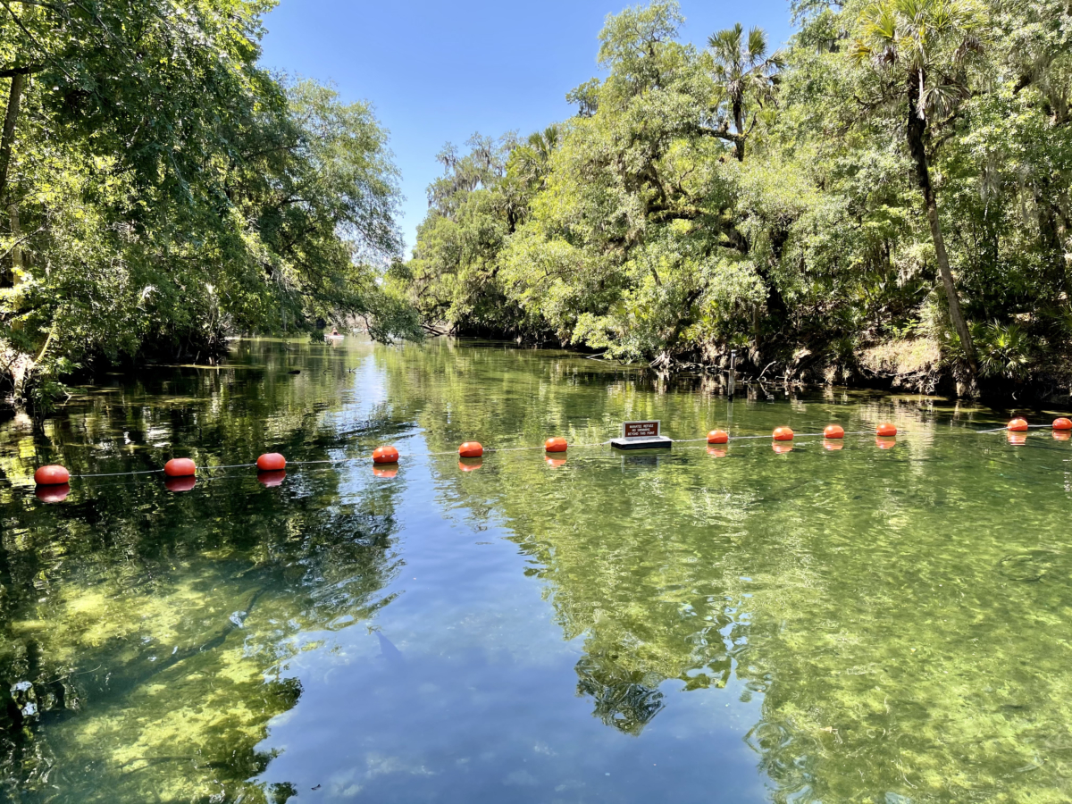 Discover Florida's Blue Spring State Park & Campground