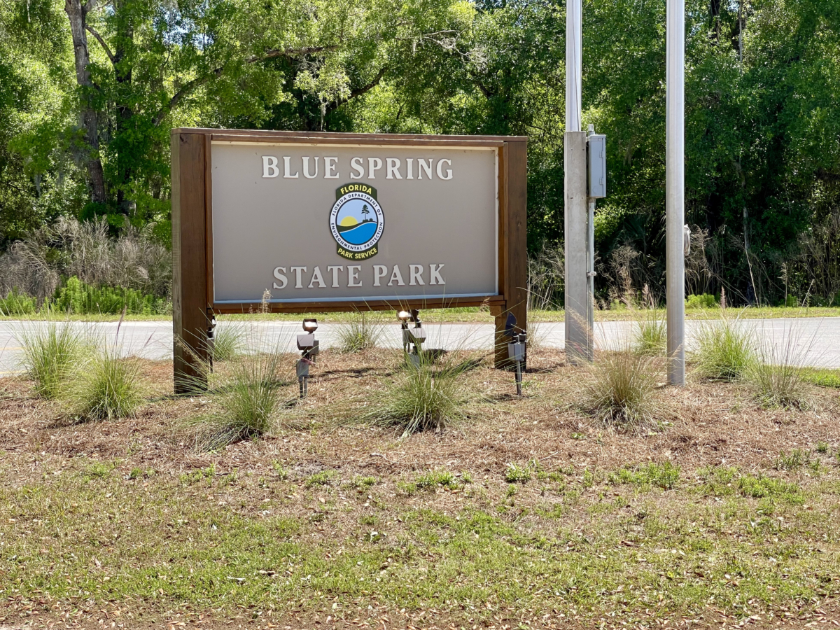 Discover Florida's Blue Spring State Park & Campground