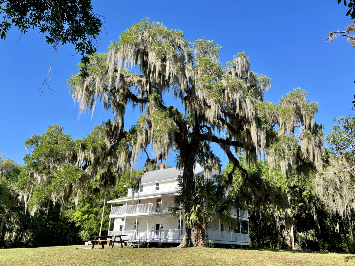 Discover Florida's Blue Spring State Park & Campground