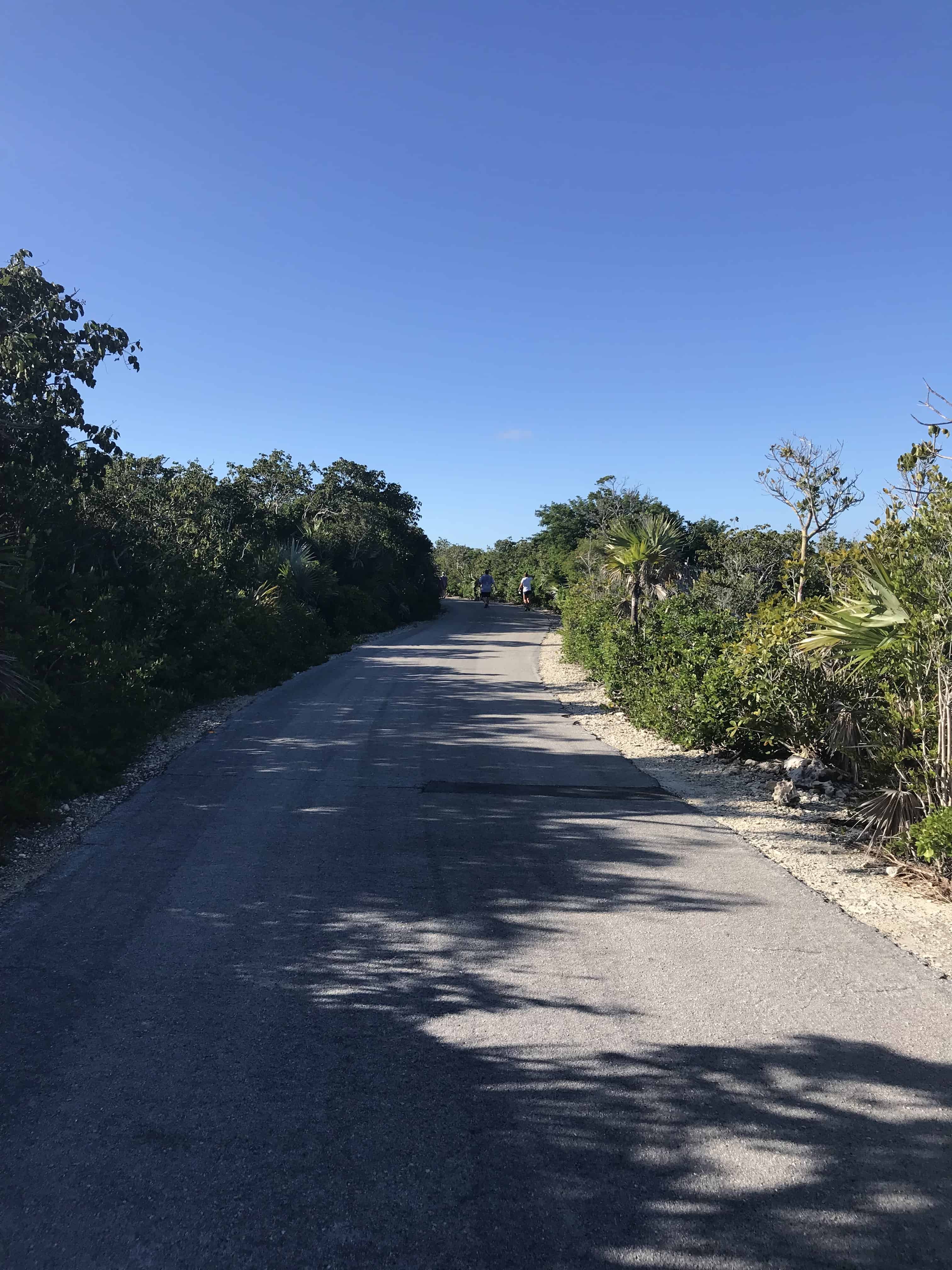 December 24, 2017 – Christmas Cruise, Part 7: Castaway Cay – Back to ...