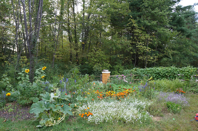 Everything you Need to Know to Grow an Amazing Bee Garden - The ...
