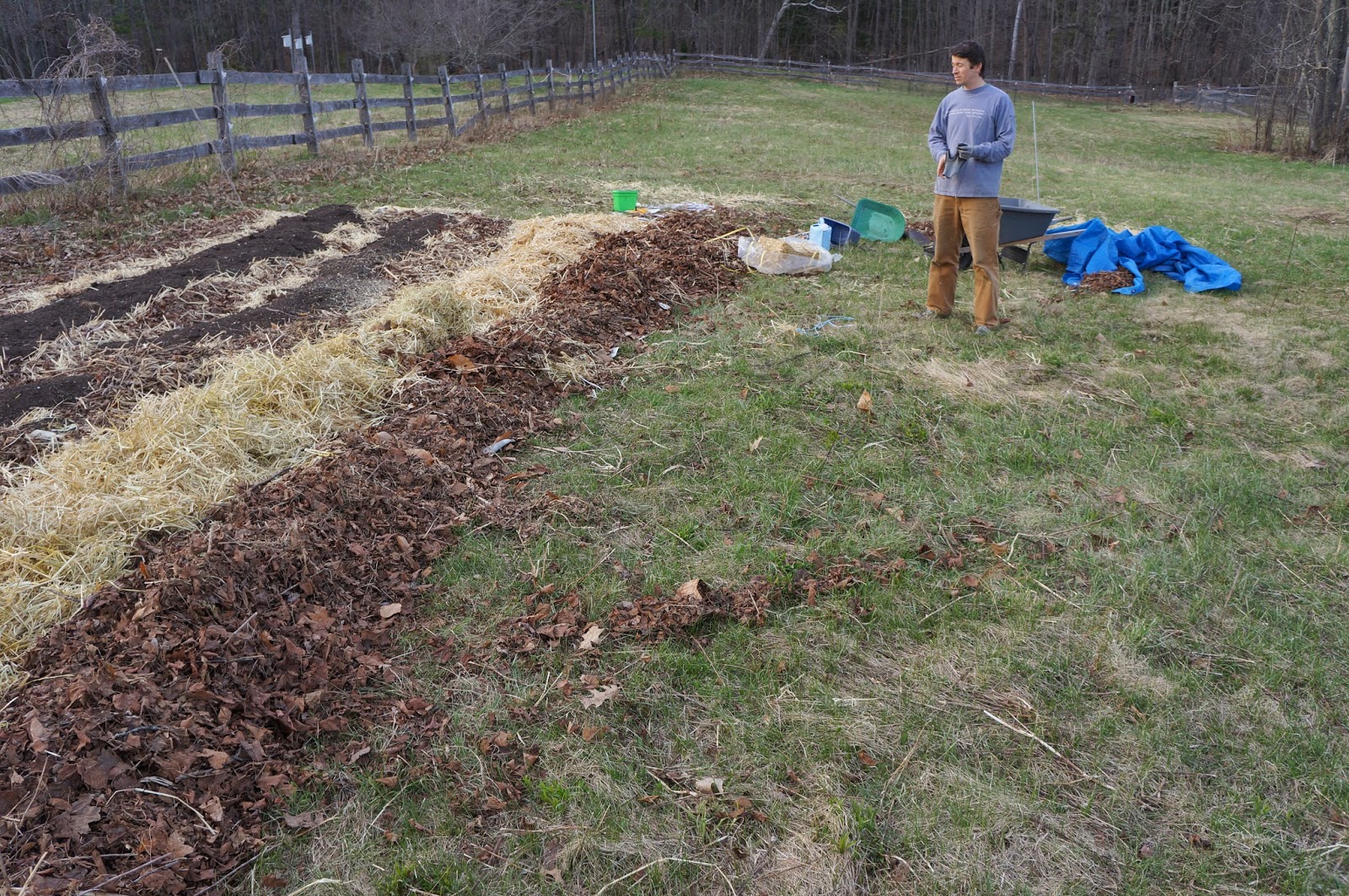 No Dig Gardening for Beginners: Is it Better Than Digging? - The ...