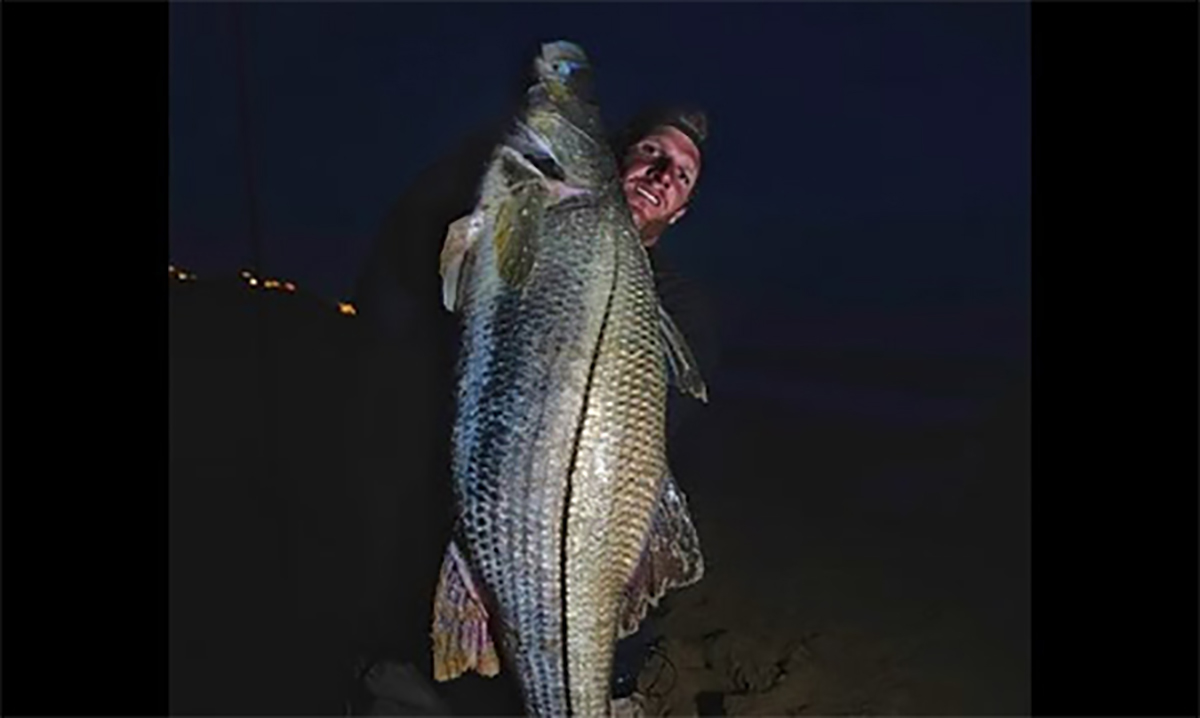 Giant snook caught at Cabo - Baja Bytes Sportfishing Reports and Features