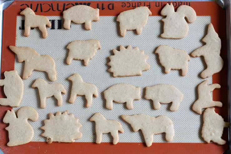 Frosted Animal Cookies Recipe | Baking the Goods