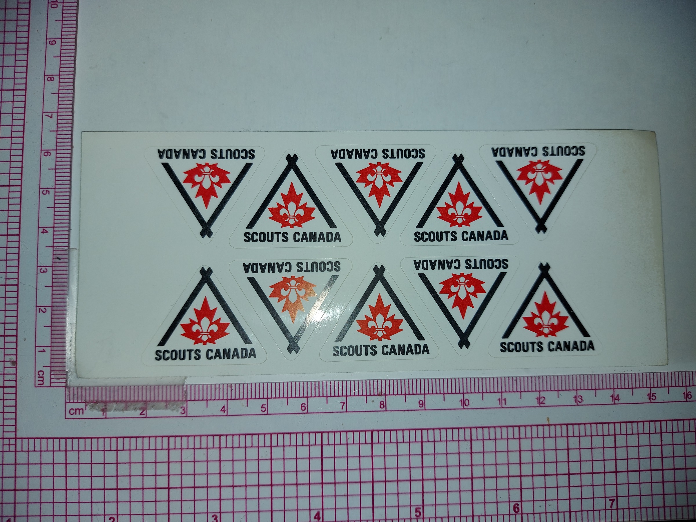 Scouts Canada Sticker Sheet - Baloo's Badge Bin