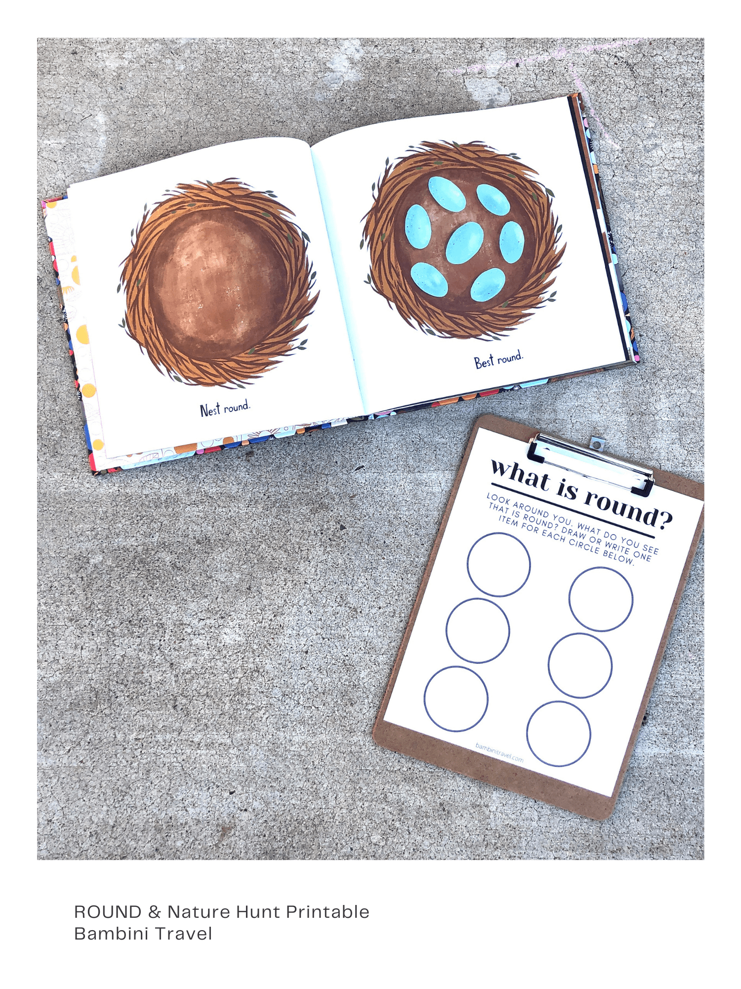 Finding Round Shapes in Nature with Toddlers – Bambini Travel