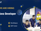 Java Developer Software Development Offshore Service Bap Software