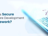 Understanding Secure Software Development Framework
