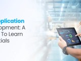 Iot Application Development A Guide To Learn Essentials