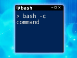 Bash Execute Python Command A Quick Guide