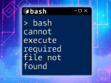 Understanding Bash Cannot Execute Binary File Error