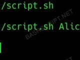 Bash Script With An Optional Input Arguments Example Bashscript Net