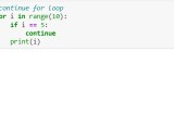 Python Loop Control Statements Engineering Concepts