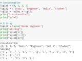 Tuple In Python Engineering Concepts