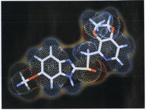 The Discovery of Ion Pumps | Basicmedical Key