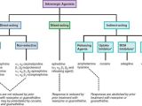 Adrenergic Agonists And Antagonists Basicmedical Key