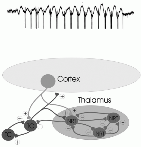 Epilepsy: Definitions and Background | Basicmedical Key