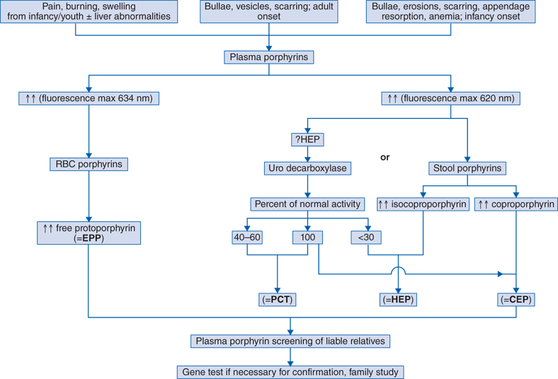 89: The Porphyrias | Basicmedical Key