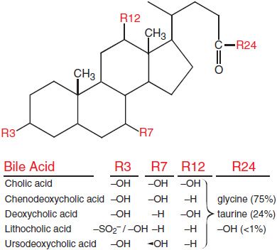 Gastrointestinal Motility and Water Flux; Emesis; Biliary and ...