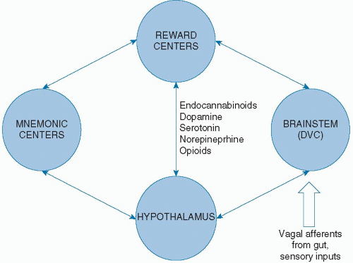 Control of Food Intake and Appetite1 | Basicmedical Key