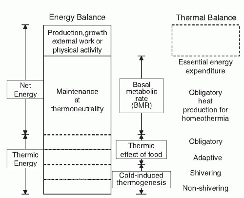 Energy Needs: Assessment and Requirements1 | Basicmedical Key