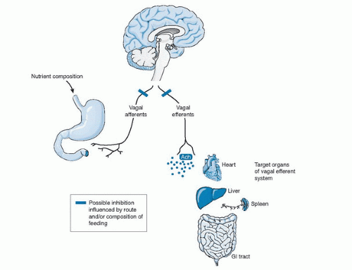 Hypercatabolic States1 | Basicmedical Key